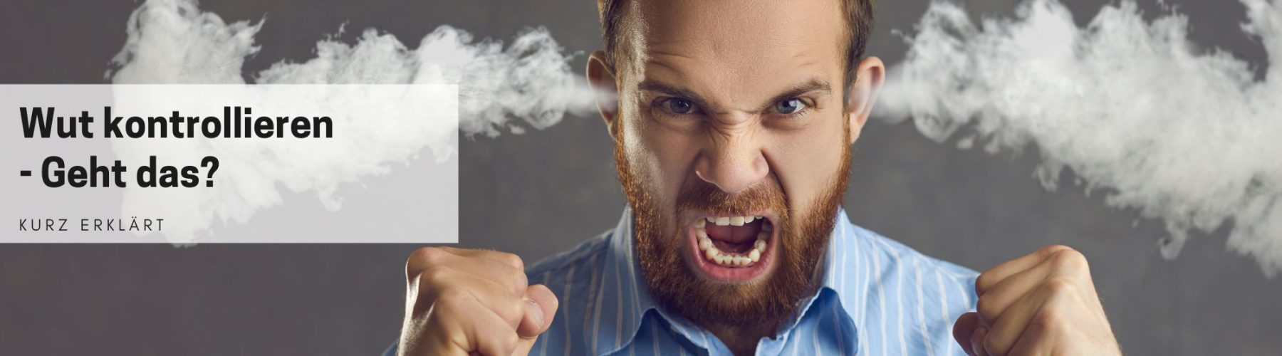 Wut kontrollieren - Wie genau lässt sich das umsetzen?